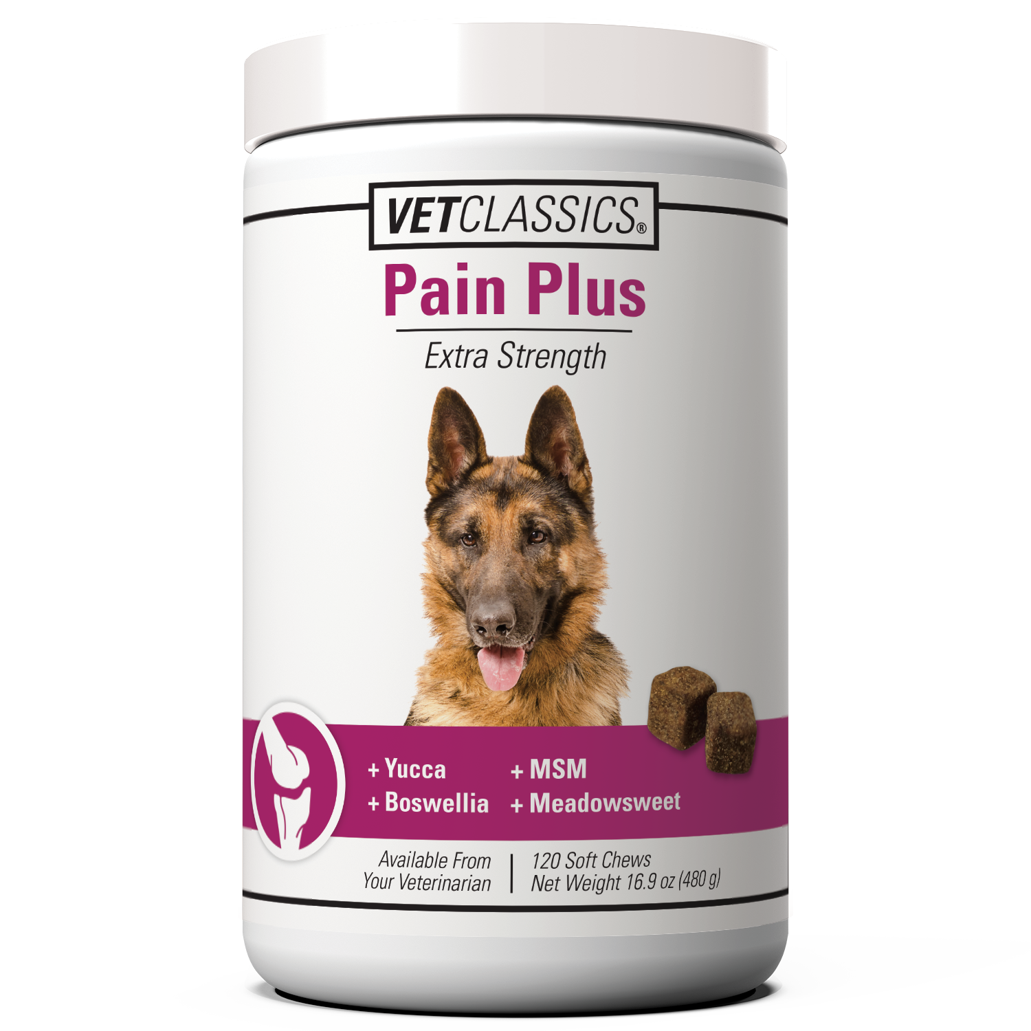 How Can I Help My Dogs Pain